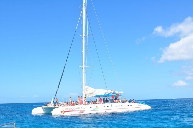 Full Day Tour to Saona Island by Catamaran from Cabeza de toro - The Sum Up