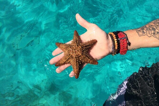 Full-Day Tour to Saona Island from Bayahibe with Lunch - The Sum Up