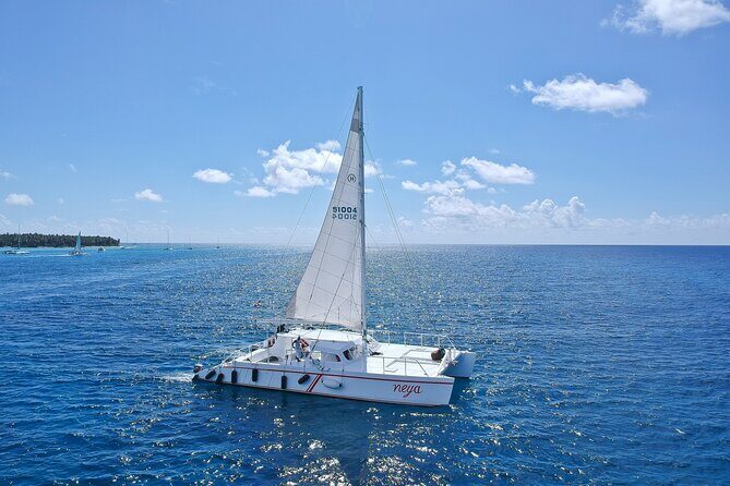 Full-Day Tour to Saona Island Sailing with Lunch and Beverages - An In-Depth Look at the Tour Experience