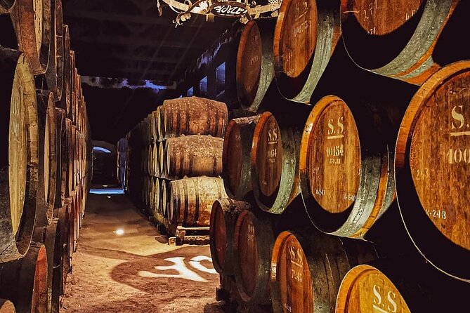 Full Day Tour to Setúbal & Arrábida: Wine and Nature - Exploring Setúbal and Arrábida