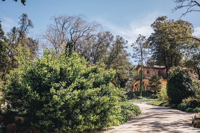 Full-Day Tour to Sintra and Cascais - What It’s Like to Experience This Tour