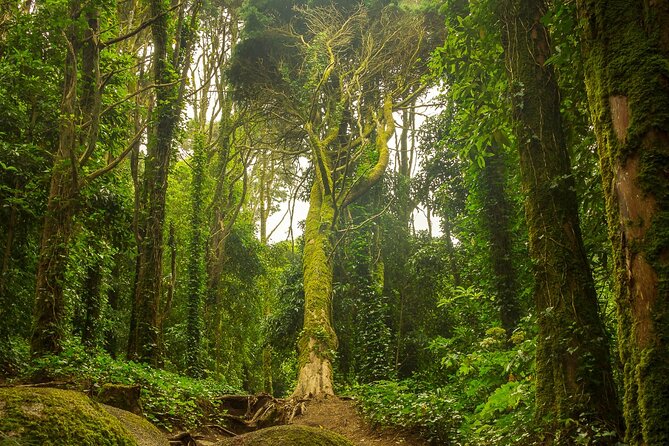 Full Day Tour to Sintra, Pena Palace, Cabo Da Roca and Cascais - Visiting Cabo Da Roca