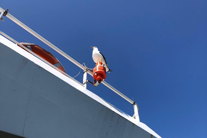 Full Day Tour to Texel - Friesian Islands - From Amsterdam - Accessibility and Additional Info