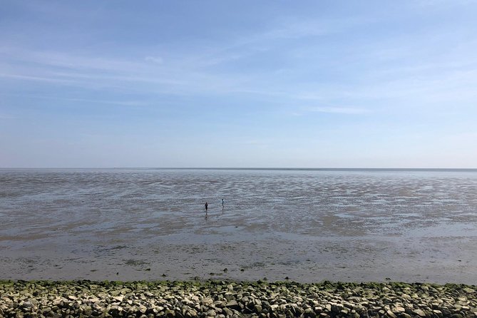 Full Day Tour to Texel - Friesian Islands - From Amsterdam - Reviews and Feedback