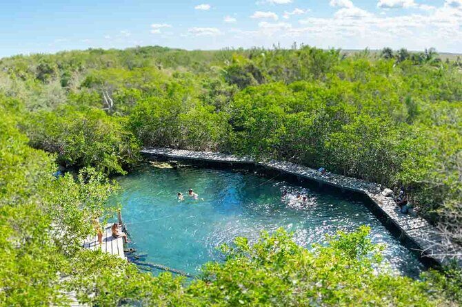 Full Day Tour to the Best of Holbox - The Itinerary: What to Expect on Your Day