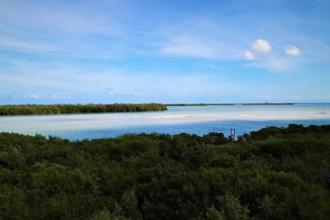 Full Day Tour to the Best of Holbox - Who Should Join This Tour?