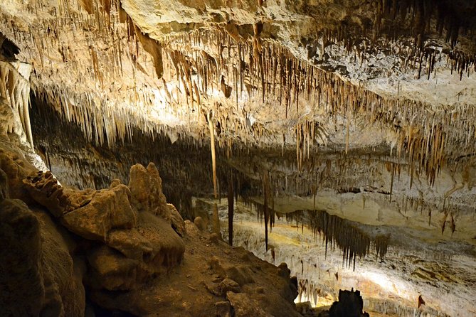 Full day tour to the Caves of Drach and Caves of Hams in Mallorca - Frequently Asked Questions