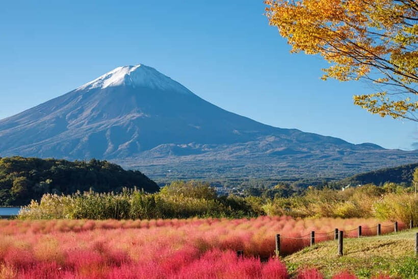 Full-Day Tour to the Picturesque Spots of Mount Fuji - Transportation and Practical Details