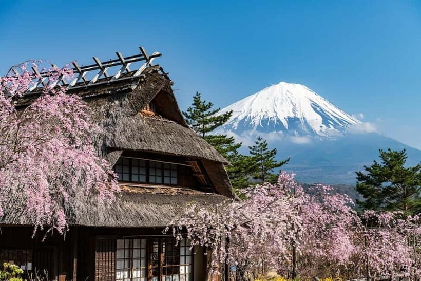 Full-Day Tour to the Picturesque Spots of Mount Fuji - Authentic Feedback and Real Experiences