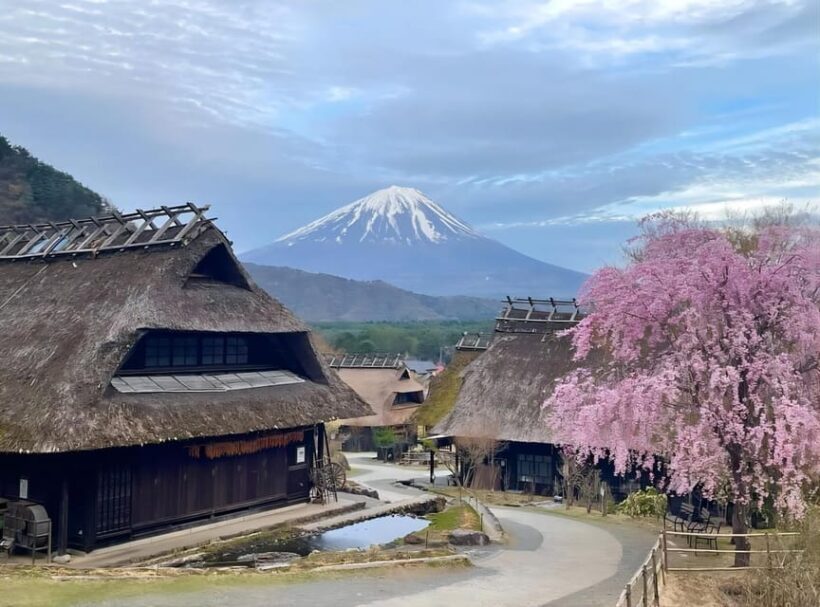 Full-Day Tour to the Picturesque Spots of Mount Fuji - Who Will Enjoy This Tour?