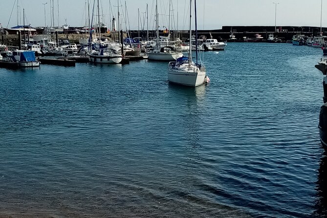 Full-Day Tour to the Scottish Highlands - Family-Friendly Aspects