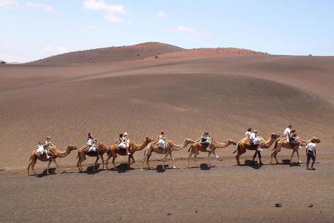 Full Day Tour to Timanfaya, Green Lagoon and La Geria - Guest Experiences and Recommendations