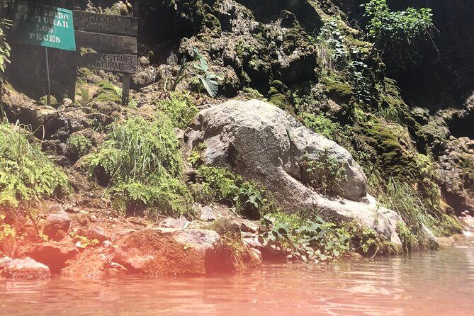 Full-Day Tour to Tolantongo Hot Springs from Ciudad de Mexico - What Travelers Say: Authentic Experiences & Practicalities
