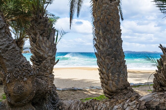 Full-Day Tour to Vai Palm Beach, Toplou Monastery, and Sitia Town - Practical Tips for Travelers