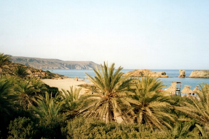 Full-Day Tour to Vai Palm Beach, Toplou Monastery, and Sitia Town - The Sum Up