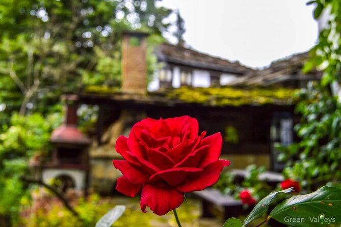 Full-Day Tour to Veliko Tarnovo Reserve of Bozhentsi and Etar from Sofia - FAQ