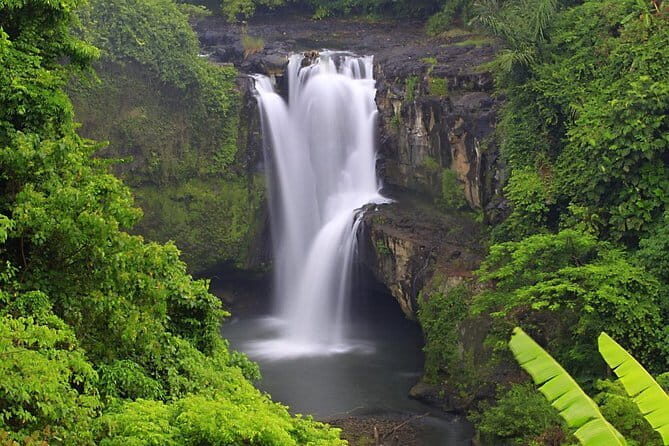 Full Day Tour to Water Temples UNESCO Rice Terraces in Bali - Authenticity and Experience