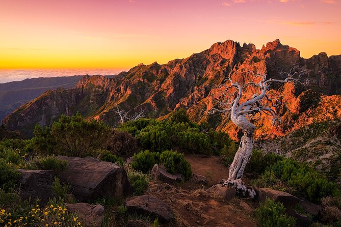 Full Day Tour to West Madeira Island - Inclusions