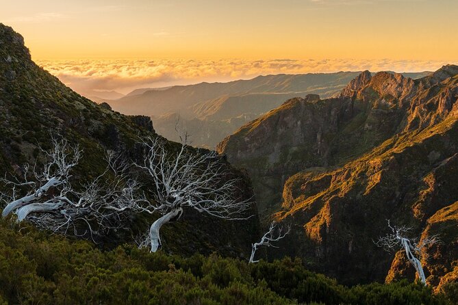 Full Day Tour to West Madeira Island - Participant Information