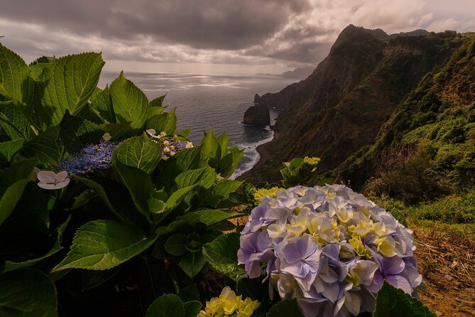 Full Day Tour to West Madeira Island - What to Expect