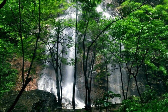 Full-Day Tour to Zhangjiajie Grand Canyon Yellow Dragon Cave - Final Thoughts