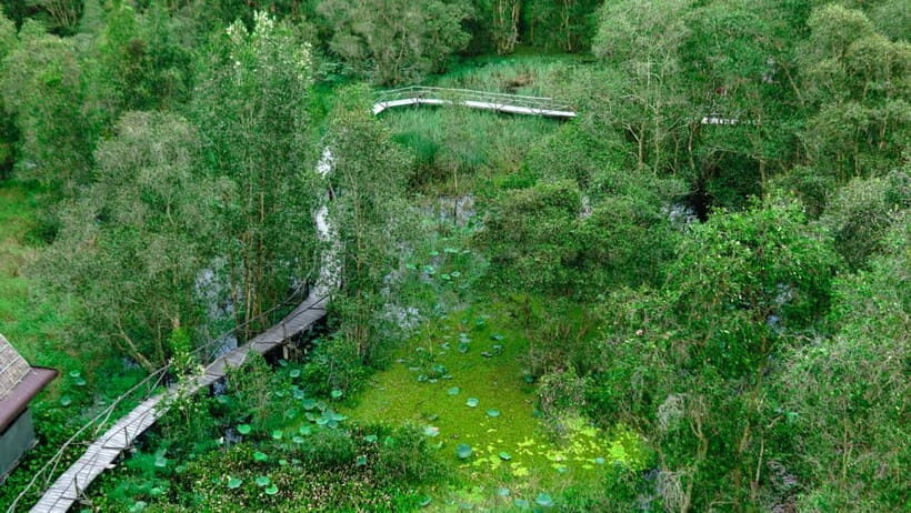 Full Day Tour Tra Su Forest From Can Tho City - Start with Convenience: Hotel Pickup and Transportation