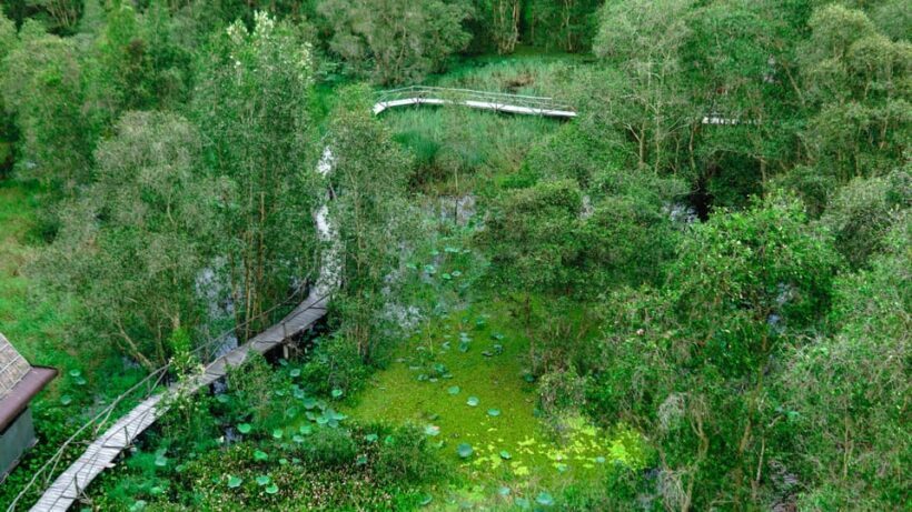 Full Day Tour Tra Su Forest From Can Tho City - What to Bring and What to Avoid