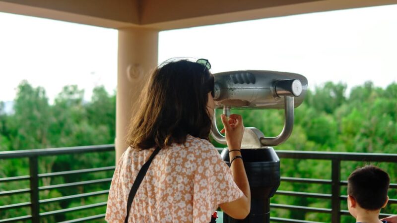 Full Day Tour Tra Su Forest From Can Tho City - Deep Dive into the Itinerary