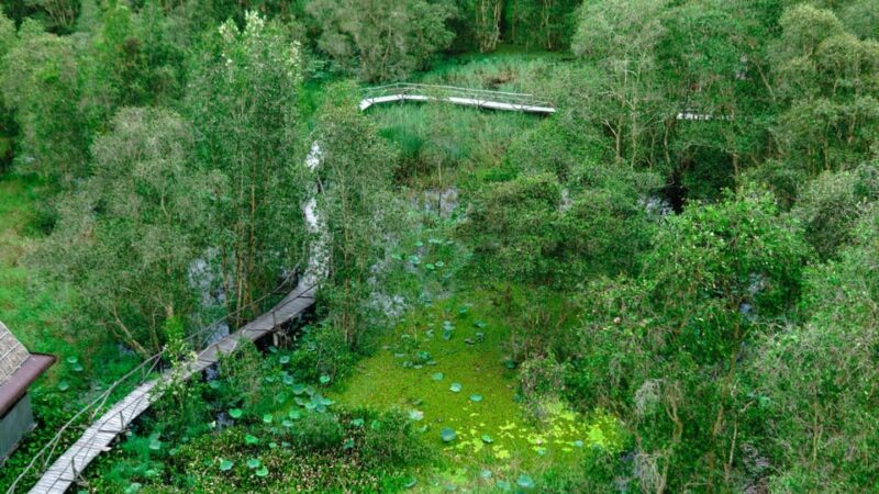 Full Day Tour Tra Su Forest From Can Tho City - FAQ