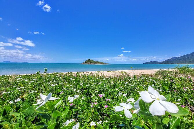 Full-Day Tour Whitsunday Waterfalls Hinterland and secluded beaches - Who Will Love This Tour?