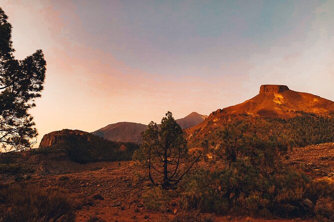 Full Day Tour With Certified Guide in Tenerife - Exploring Mount Teide