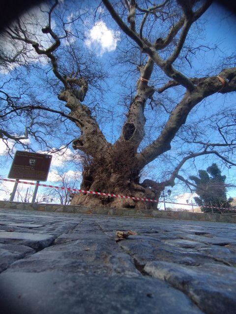 Full-Day Tour:Knossos Palace,Zeus Cave & Lassithi Plateau - FAQs