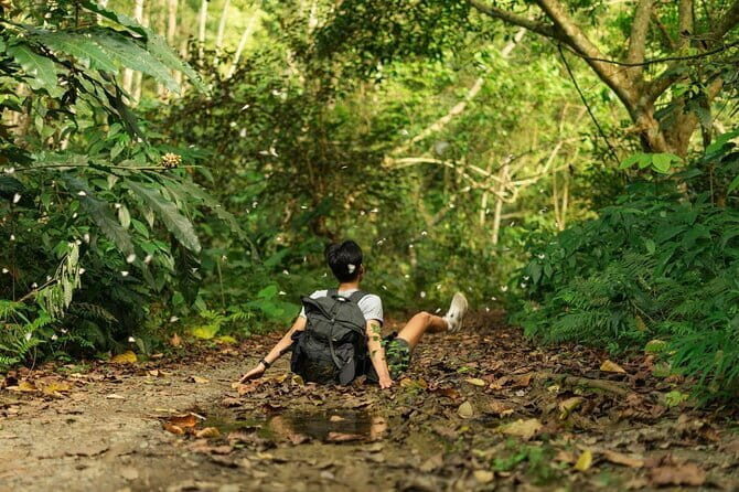 Full Day Trekking Cat Ba National Park, Viet Hai Village, biking - Key Points