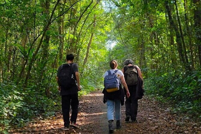 Full-Day Trekking Explore Cat Ba National Park, Viet Hai Village - Frequently Asked Questions