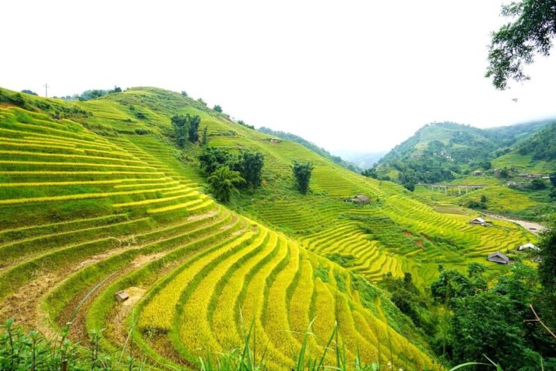 Full Day Trekking Lao Chai-Ta Van and Cat Cat Village - The Value