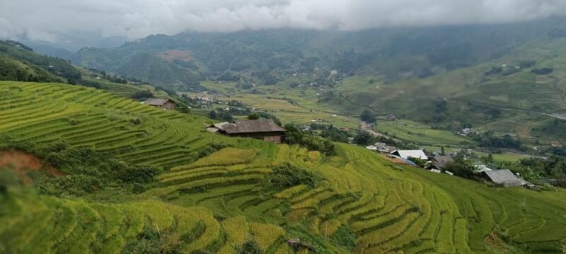 Full Day Trekking Lao Chai-Ta Van and Cat Cat Village - FAQ