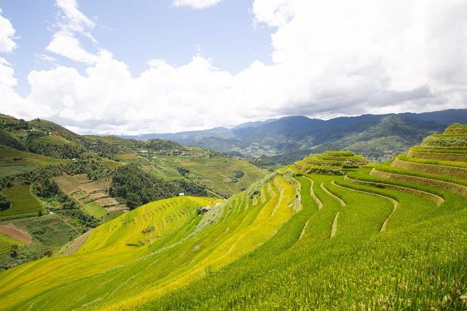 Full Day Trekking Mu Cang Chai - The Guide and Group Size