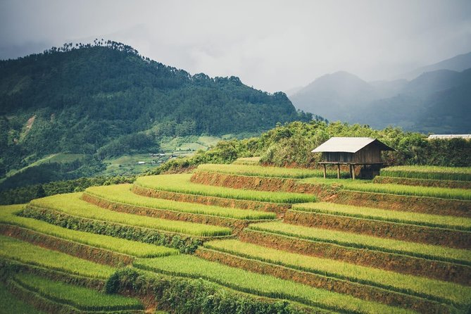 Full Day Trekking Mu Cang Chai - How the Tour Fits Into Your Travel Plans