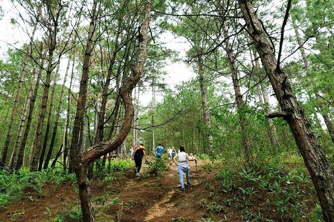 Full day Trekking On Langbiang Mountain - What’s Included and What’s Not