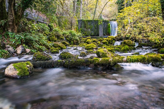 Full-Day Trip From Belgrade: Tara National Park & the Drina River Valley - Exploring Tara National Park