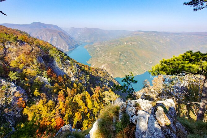 Full Day Trip from Belgrade: The Drina River House And Tara Park Tour - The Transportation and Group Size