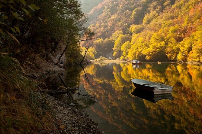 Full Day Trip from Belgrade: The Drina River House And Tara Park Tour - Cost and Value