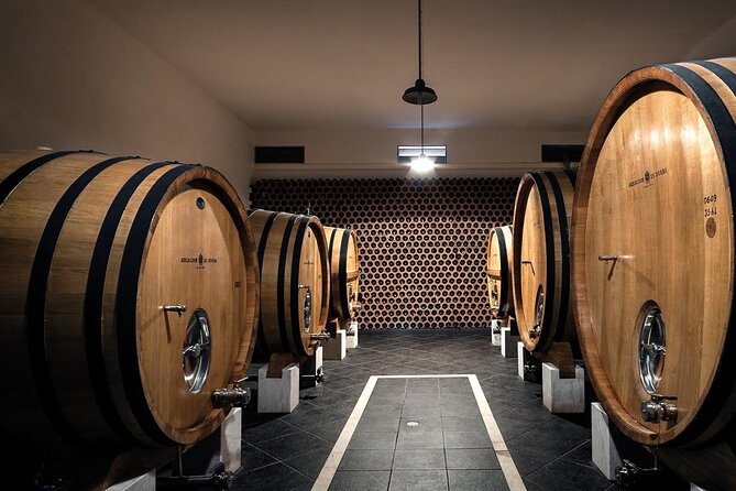 Full-day Trip in Evora, Winery & Cork Factory Private Transport - Transportation & Practicalities