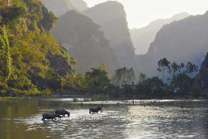 Full Day Trip to Discover Ninh Binh  Hoa Lu  Tam Coc From Ha Noi - Detailed Breakdown of the Tour Experience