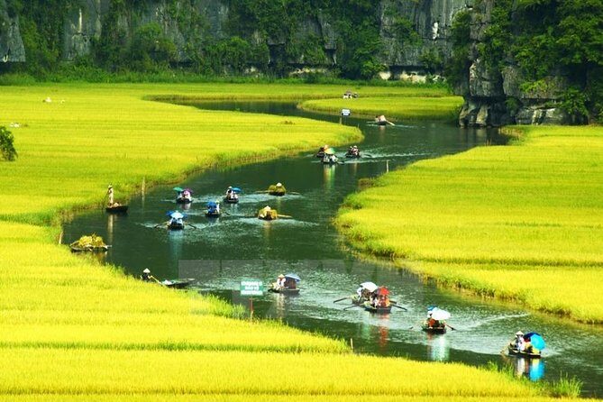 Full Day Trip to Discover Ninh Binh  Hoa Lu  Tam Coc From Ha Noi - Who Will Love This Tour?
