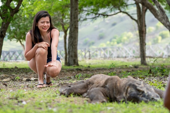 Full Day Trip to Explore 6 Destinations in Labuan Bajo and Komodo - Final Thoughts