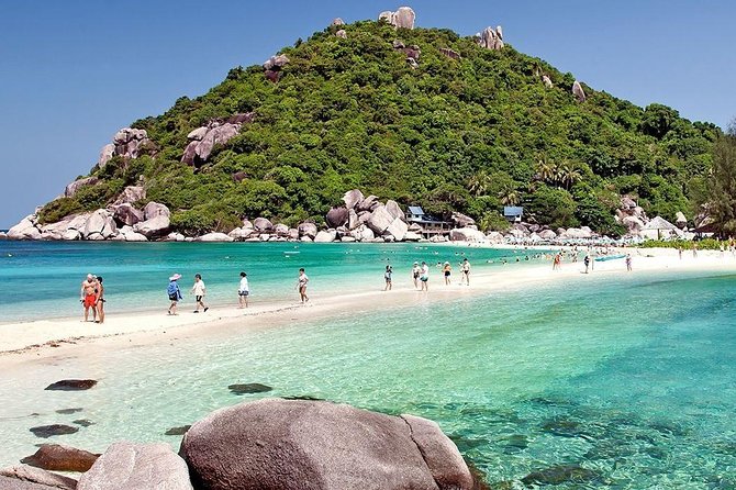 Full-Day Trip to Koh Tao and Koh Nang Yuan from Koh Samui by Speedboat - Who Will Love This Tour?