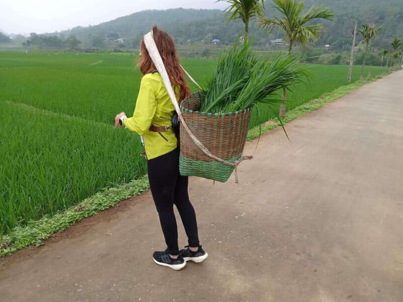 Full Day Trip To Pu Luong From Hanoi (only depart on Monday) - Key Points