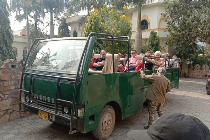 Full-Day Trip to Ranthambore National Park from Jaipur - The Sum Up