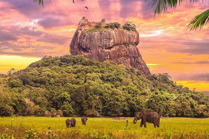 Full Day Trip to Sigiriya and Dambulla from Kandy - FAQs